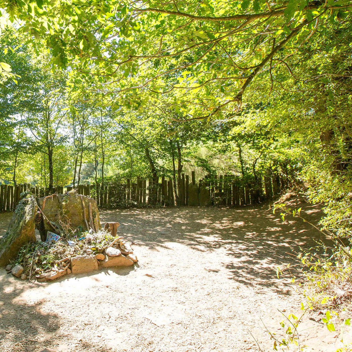 Merlin, der Zauberer – Artuslegende Brocéliande