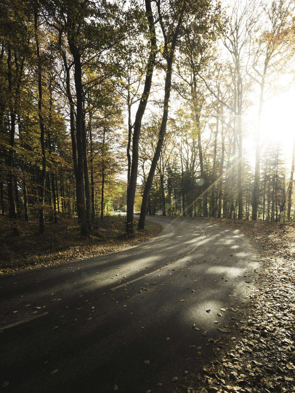 Lac de Trémelin – Etang de trémelin – Destination Brocéliande