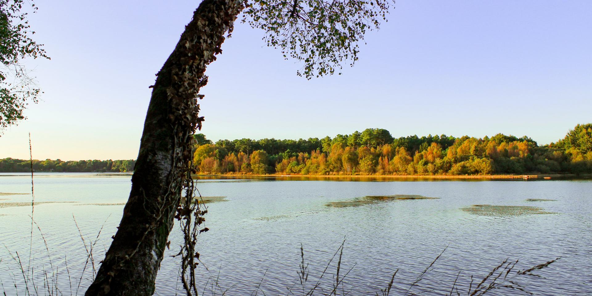 Lake of Trémelin – Etang de trémelin – Destination Brocéliande